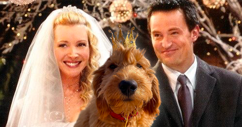 Lisa Kudrow (alias Phoebe dans Friends) voudrait adopter Alfred, le ...