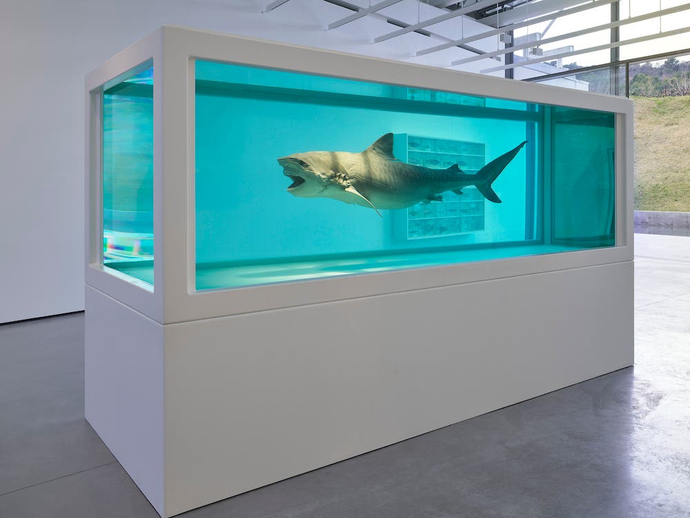 Requin dans du formol et trésors échoués, Damien Hirst expose ses ...