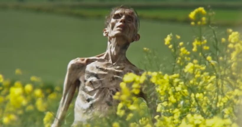 Pourquoi 28 jours plus tard est introuvable en France